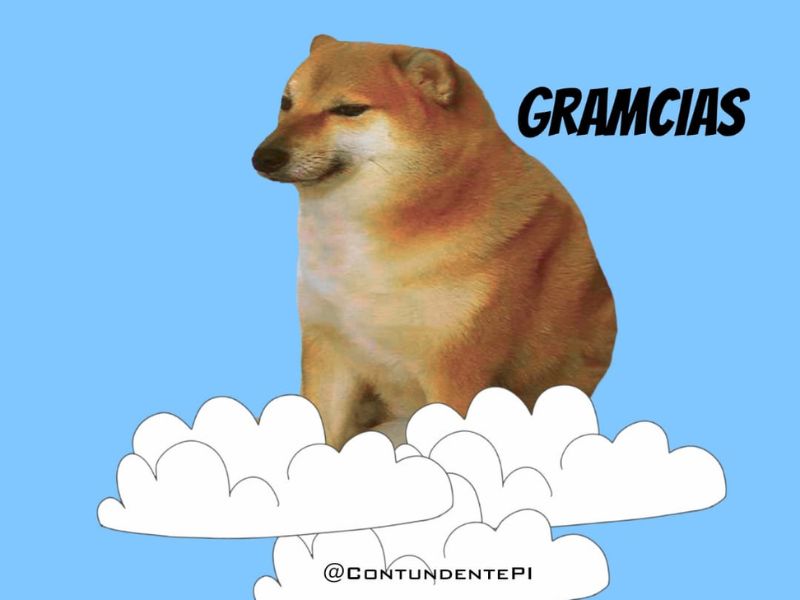 Cheems, el lomito de los memes falleció a los 12 años de edad | Contundente